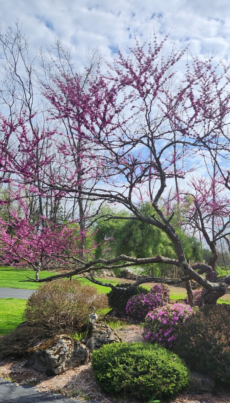 About – PEQUEST CUT OFF FARM